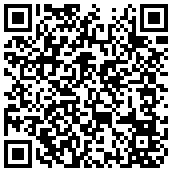 Купить WF13 HUB СЕРЫЙ в городе